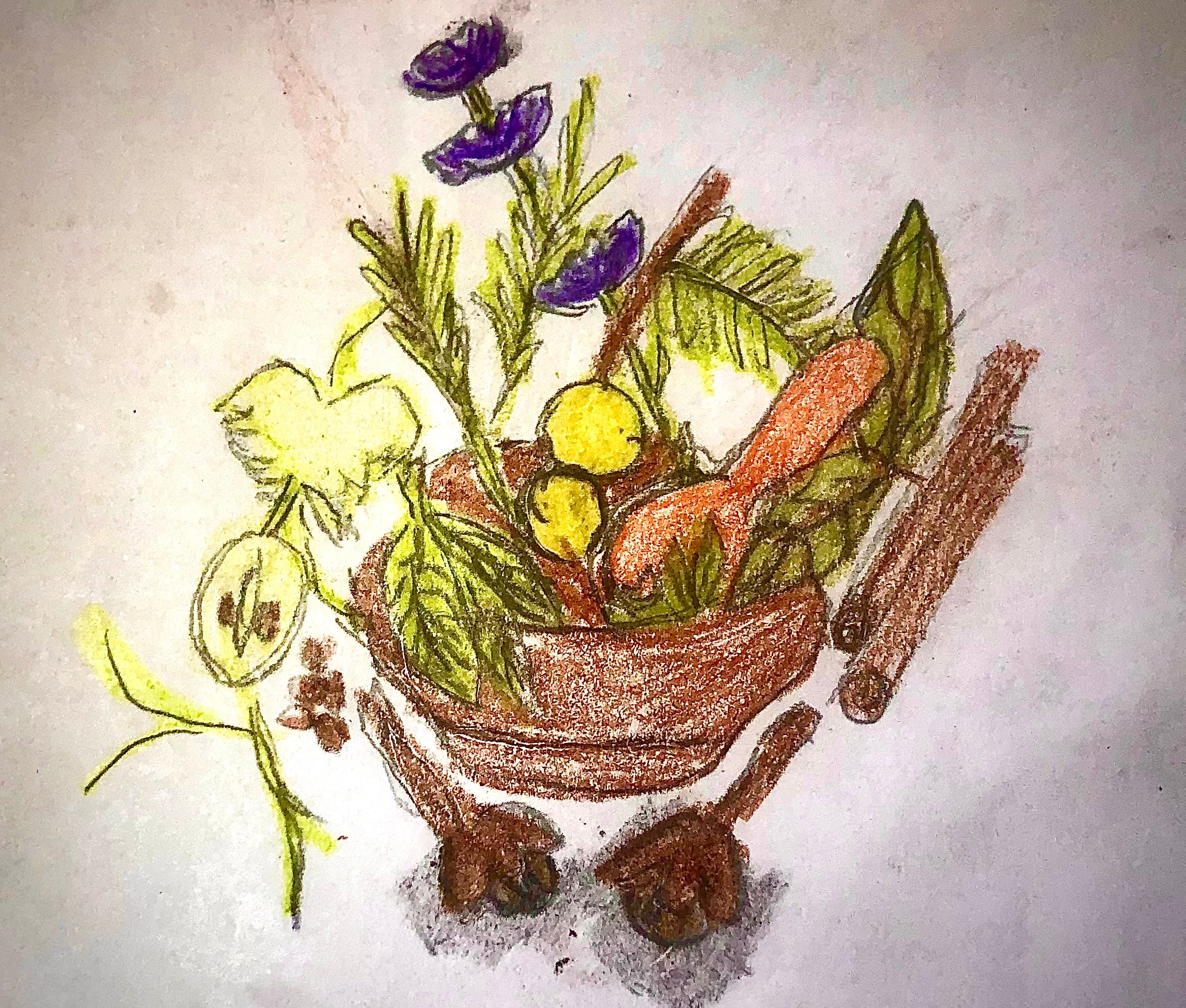 Collections – LA SI MAURI